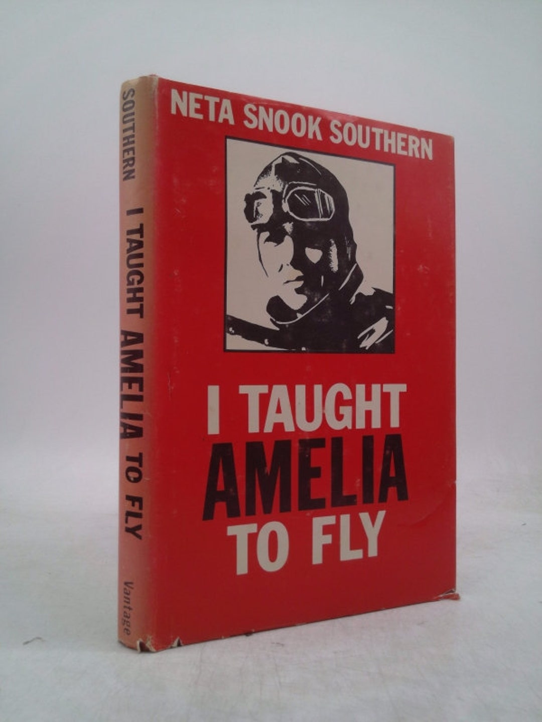 I Taught Amelia to Fly by Neta Snook Southern - Etsy