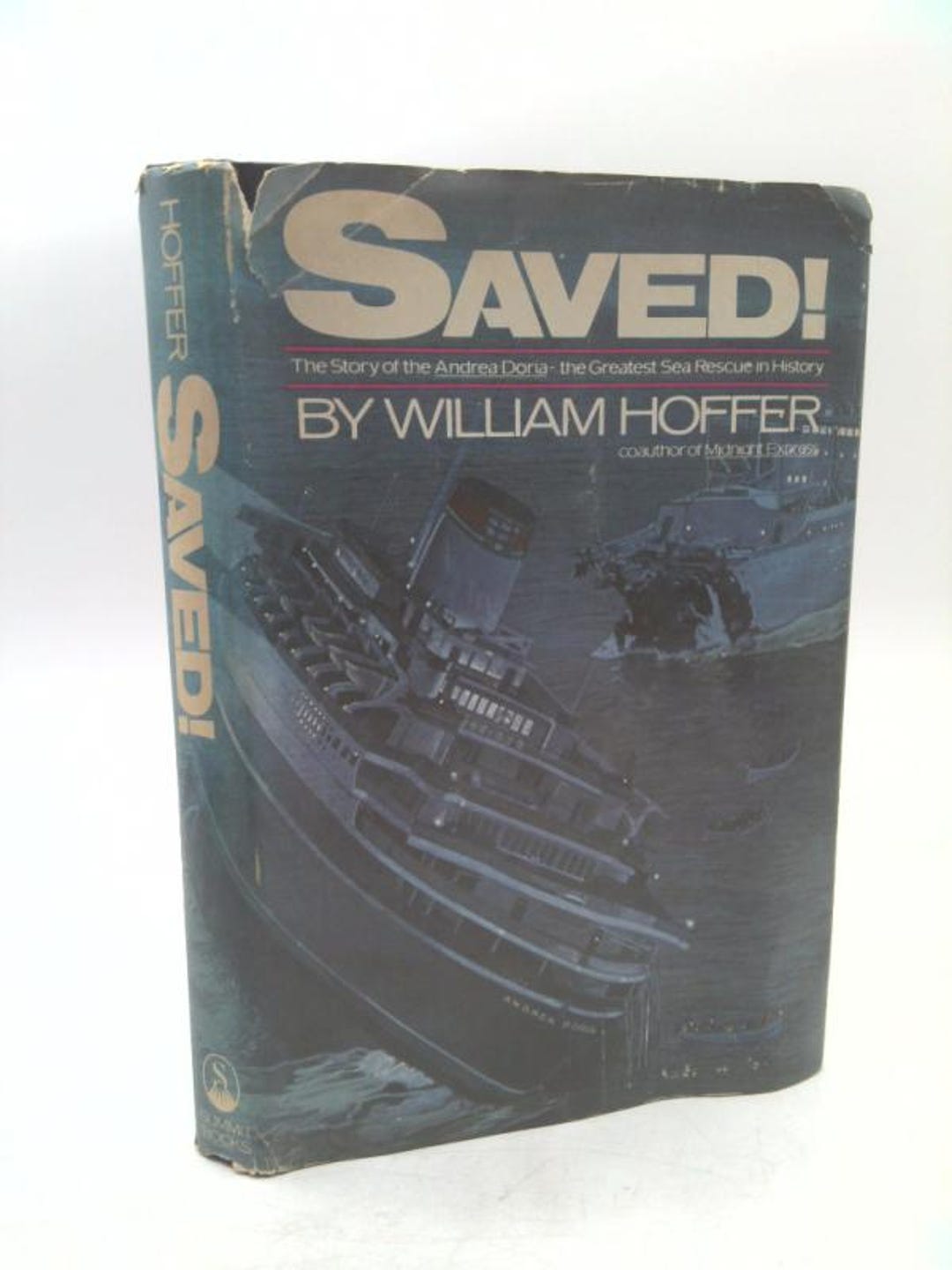 Saved! by William HOFFER - Etsy