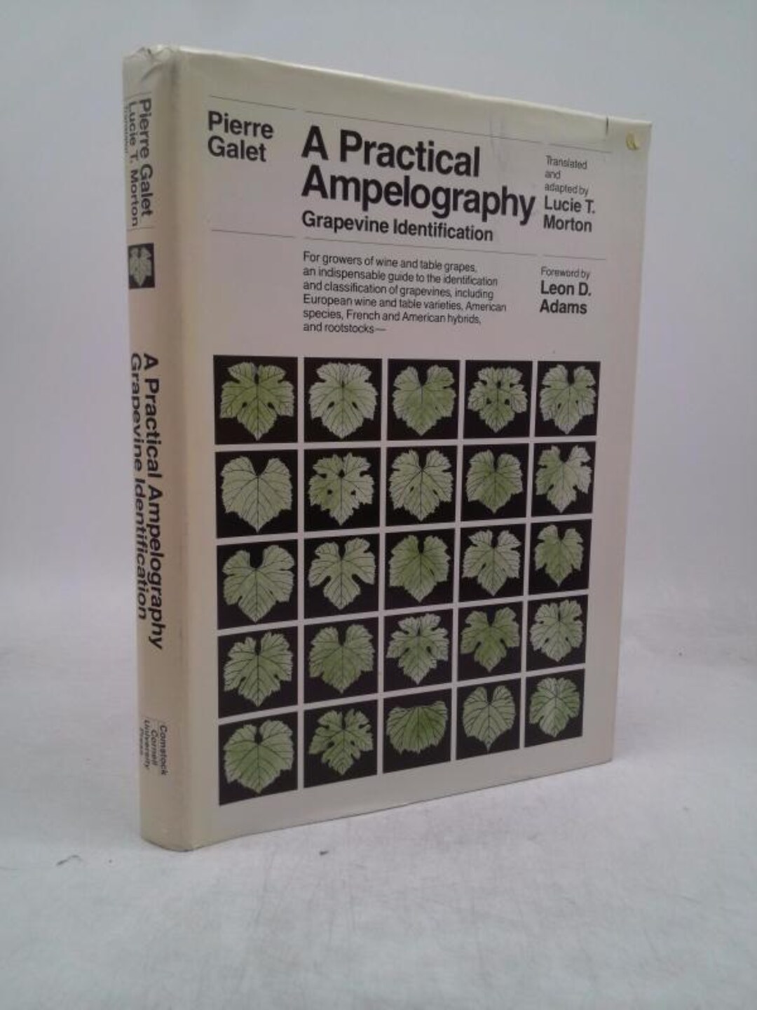 A Practical Ampelography: Grapevine Identification (comstock Bk) by ...