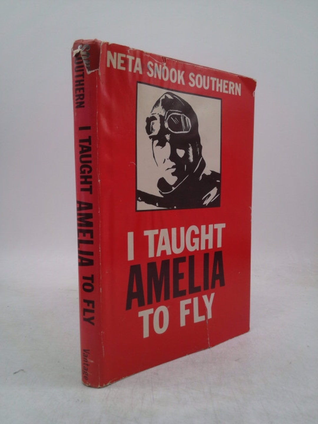 I Taught Amelia to Fly by Neta Snook Southern - Etsy