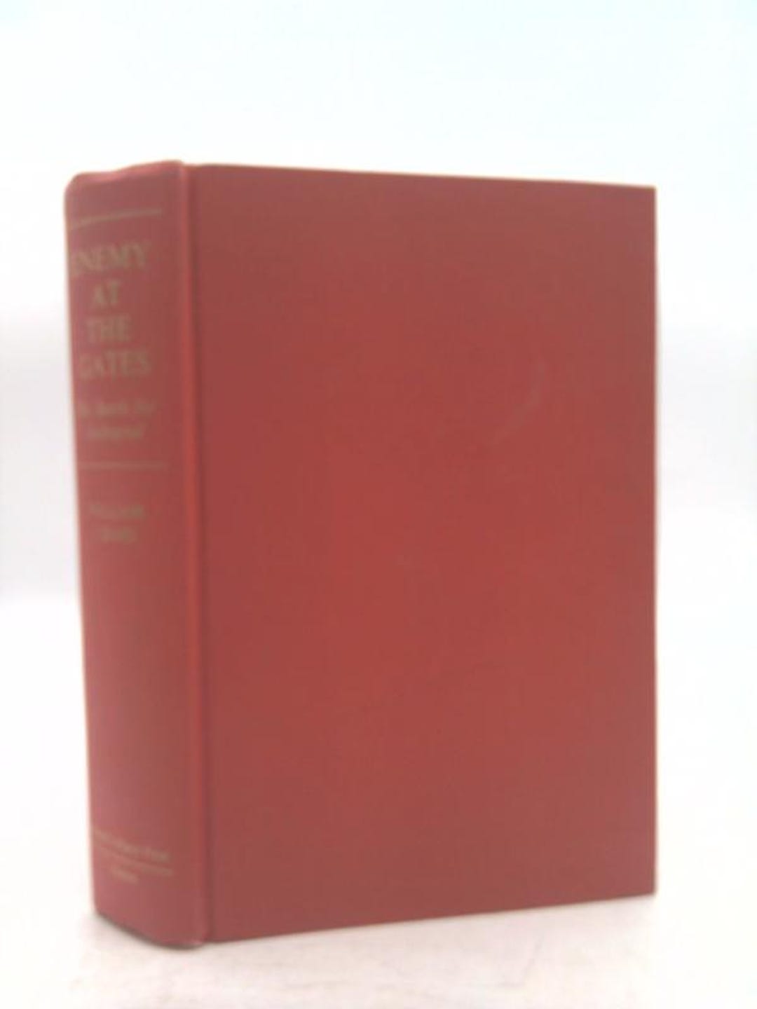 The Enemy at the Gate by Rita Ritchie - Etsy