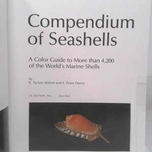 A Compendium of Seashells: A Full-color Guide to More Than 4,200 of the ...