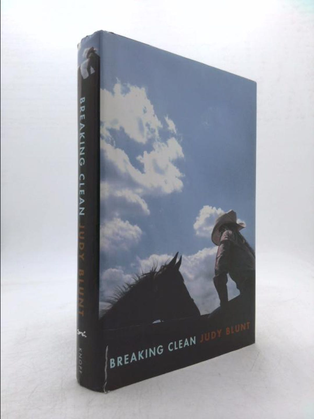 Breaking Clean by Judy Blunt - Etsy