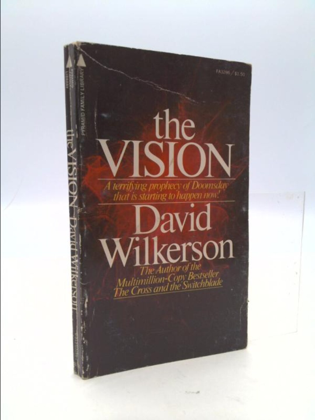 The Vision: A Terrifying Prophecy of Doomsday That is Starting to ...