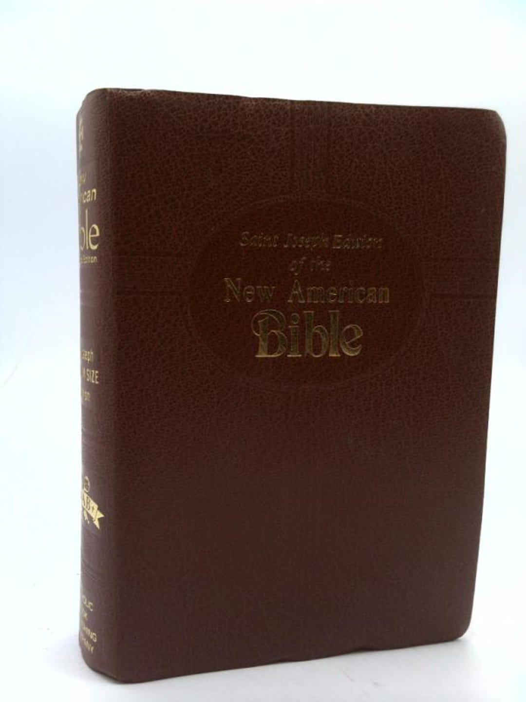 New American Bible, Saint Joseph Medium Size Edition, Illustrated ...