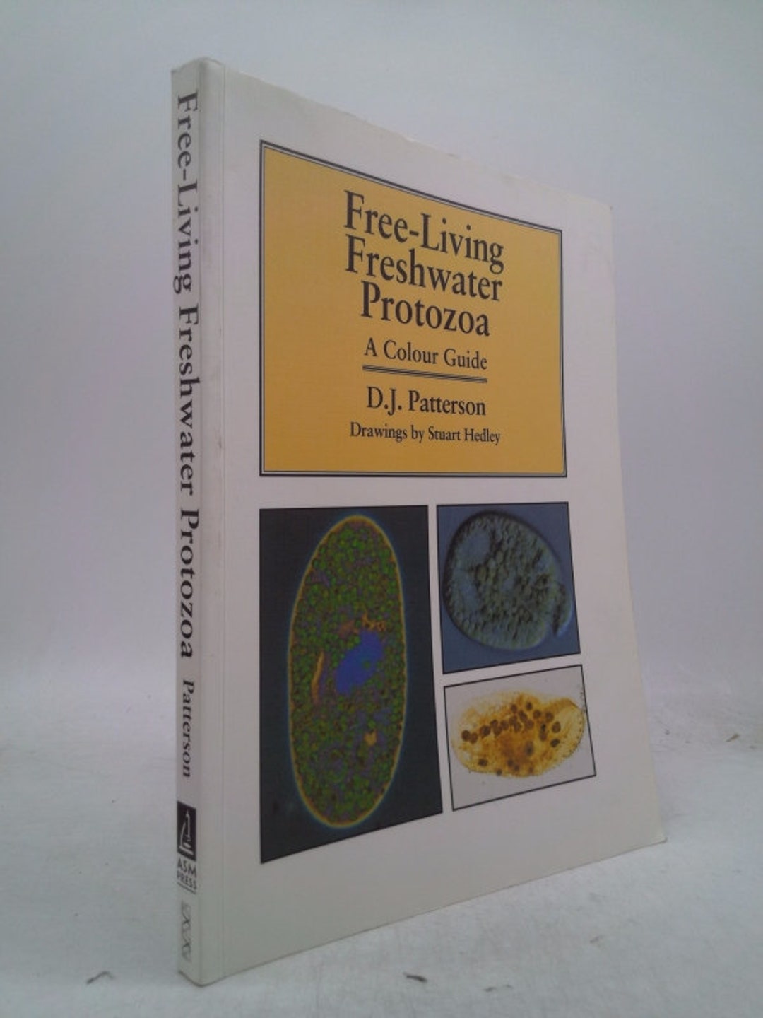 Free-living Freshwater Protozoa: A Color Guide by D. J. Patterson - Etsy