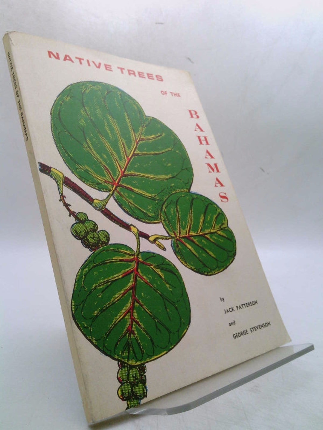 Native Trees of the Bahamas by Jack Patterson - Etsy