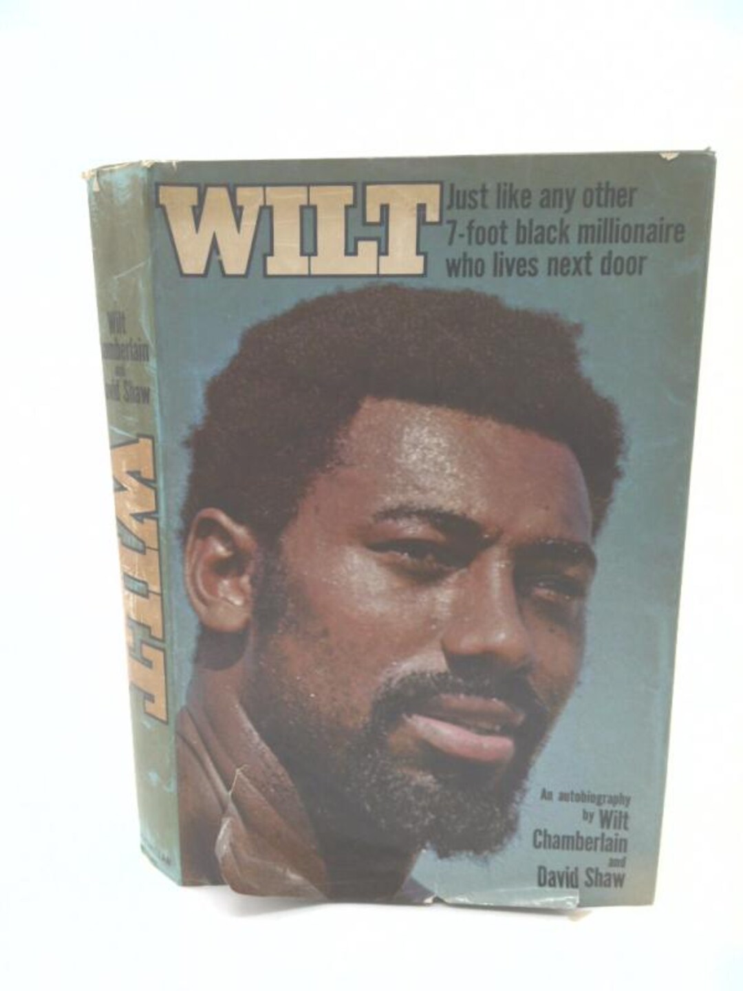 Wilt: Just Like Any Other 7-foot Black Millionaire Who Lives Next Door ...