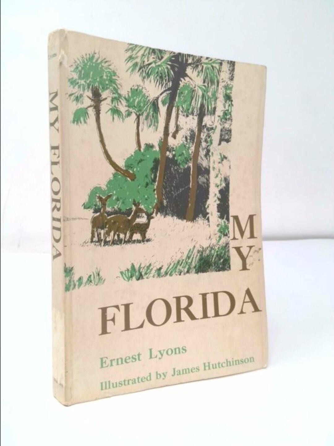My Florida by Ernest Lyons - Etsy
