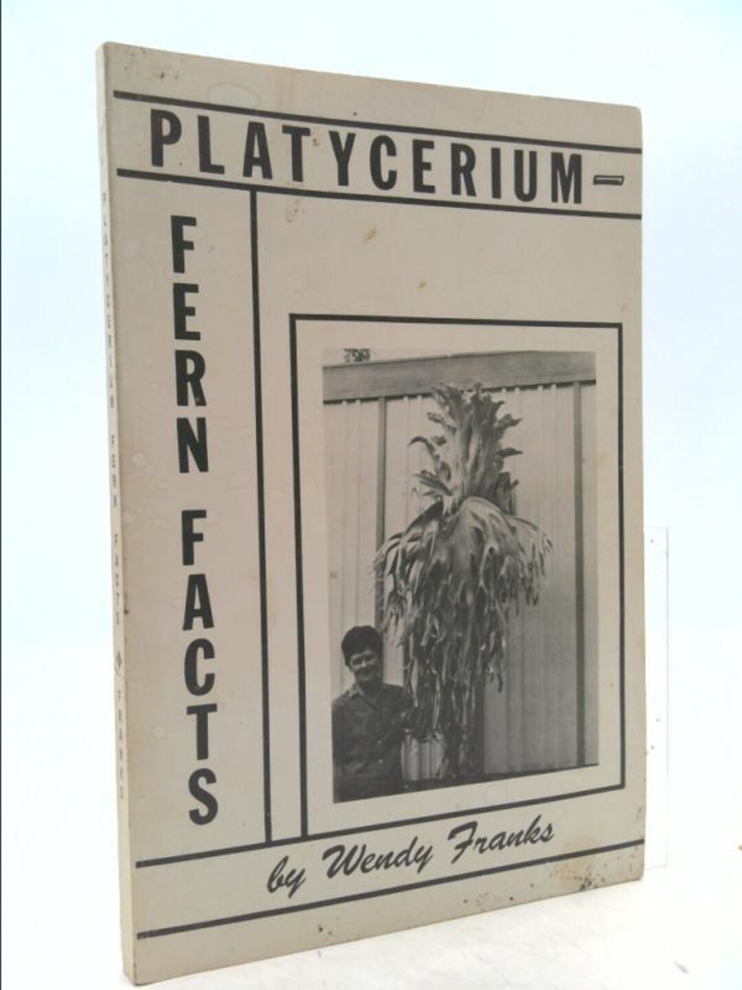 Platycerium Fern Facts by Wendy Franks - Etsy