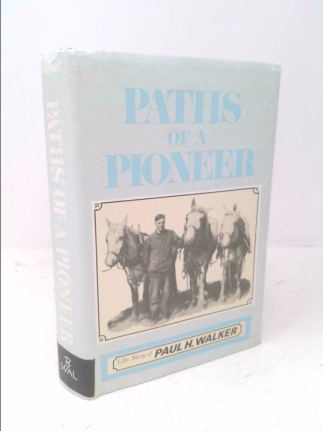 Paths of a Pioneer : Life Story of Paul Haven Walker My Call and ...