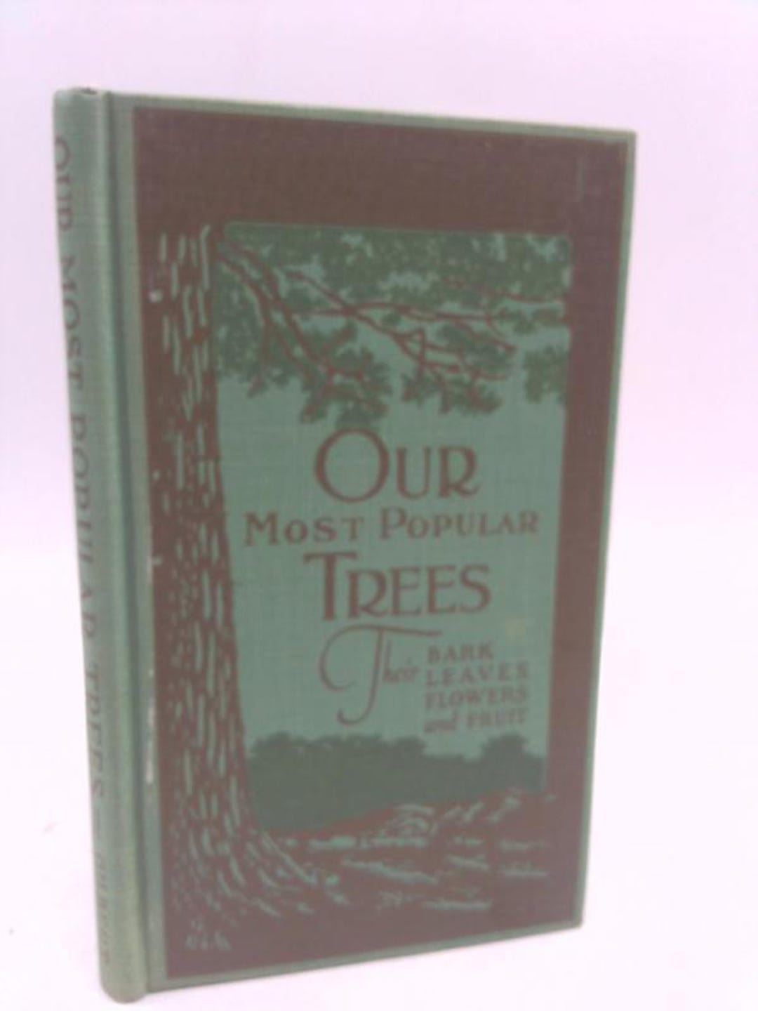 Our Most Popular Trees, Their Bark, Leaves, Flowers and Fruit by Lydia ...