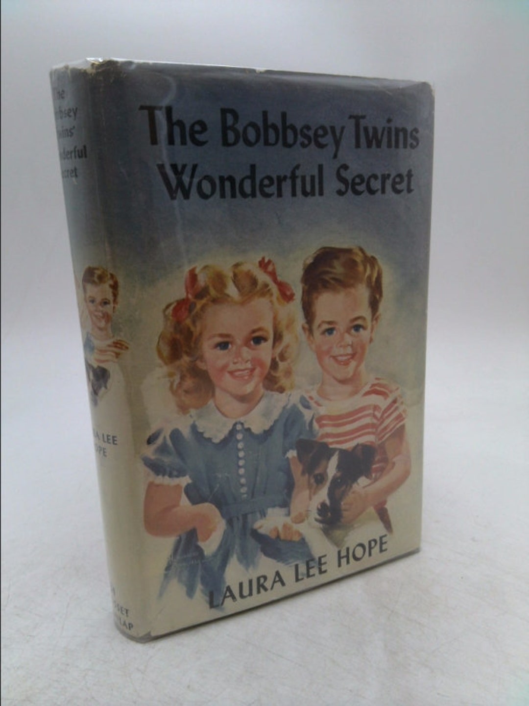 The Bobbsey Twins Wonderful Secret by Laura Lee Hope - Etsy
