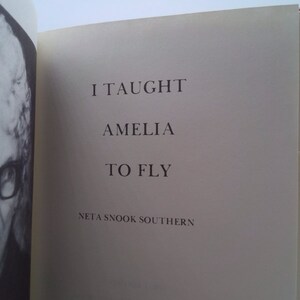 I Taught Amelia to Fly by Neta Snook Southern - Etsy