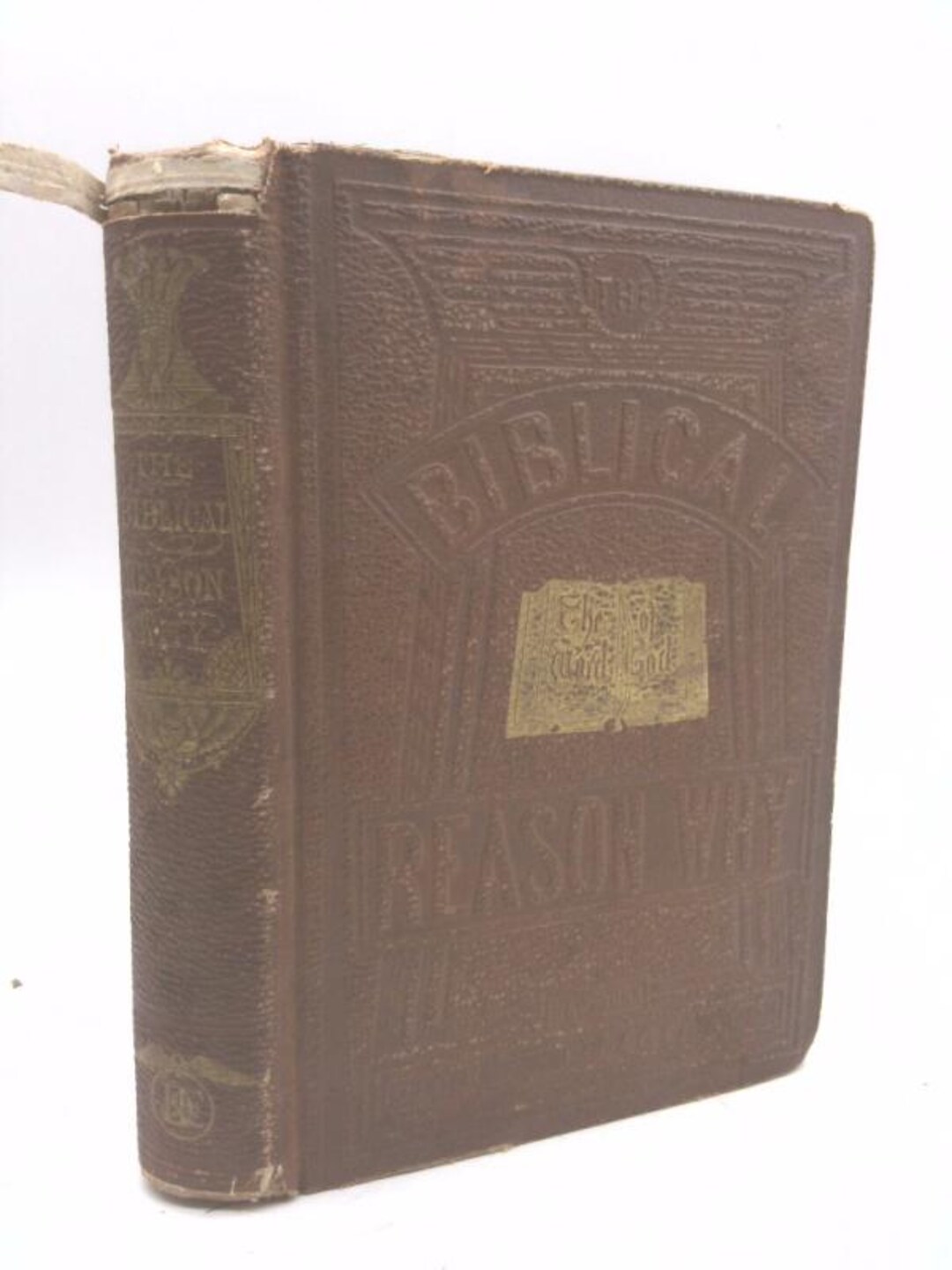 The Biblical Reason Why a Family Guide to Scripture Readings, and a ...