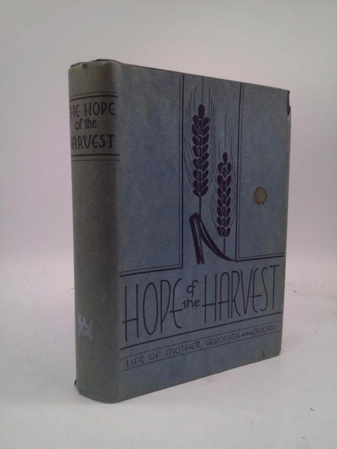The Hope of the Harvest Bio Mother Veronica Sisters of the Holy Names ...