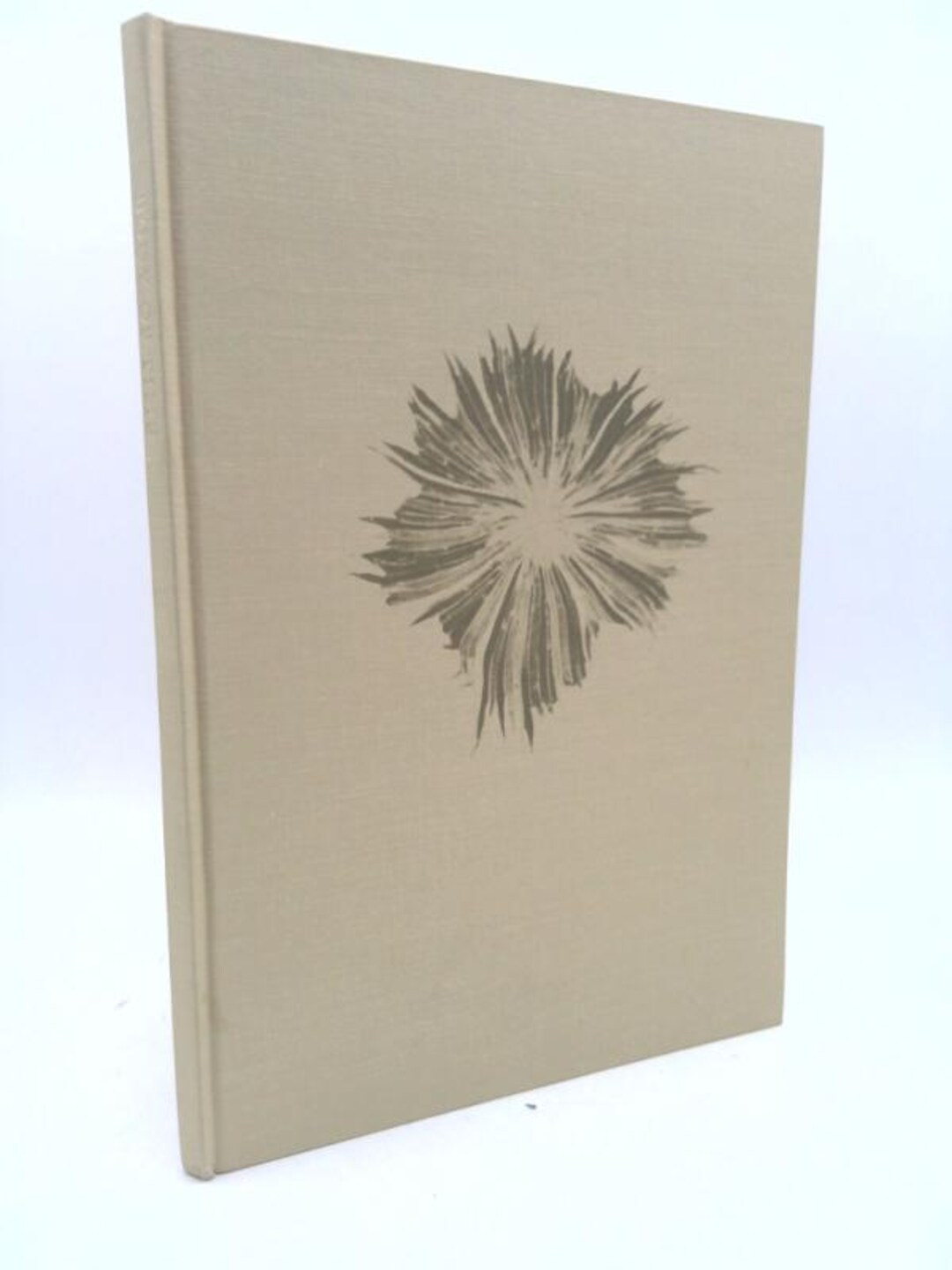Body of Time. Poems for This Incarnation by Sister Ellen Murphy - Etsy