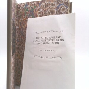 The Structure and Functions of the Brain and Spinal Cord by Victor ...