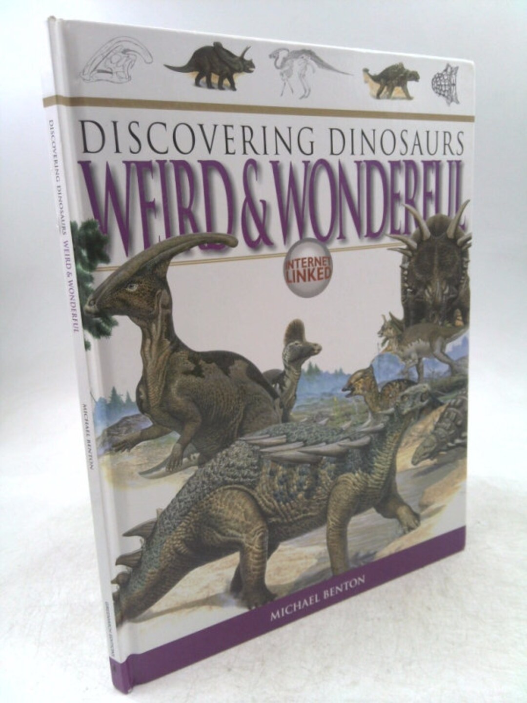 Discovering Dinosaurs Weird & Wonderful by Unknown Author - Etsy