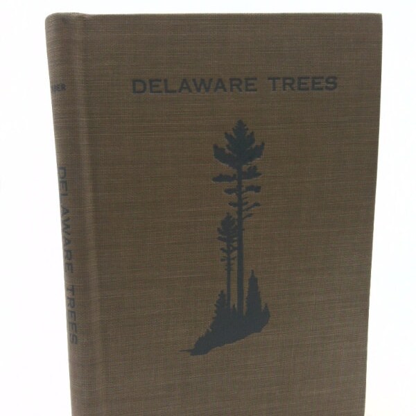 Stone Identification - Etsy