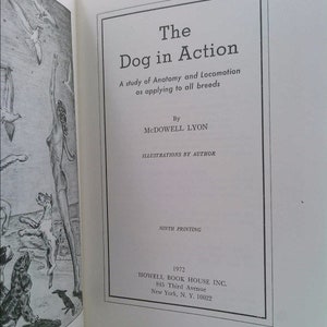 The Dog in Action: A Study of Anatomy and Locomotion as Applying to All ...
