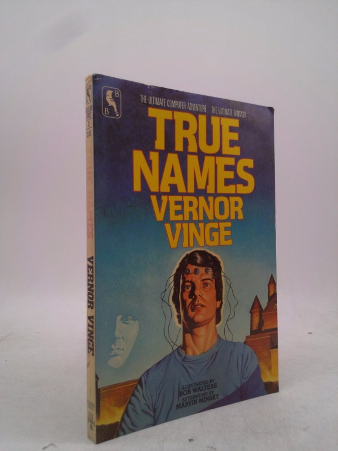 True Names and the Opening of the Cyberspace Frontier by Vernor Vinge ...