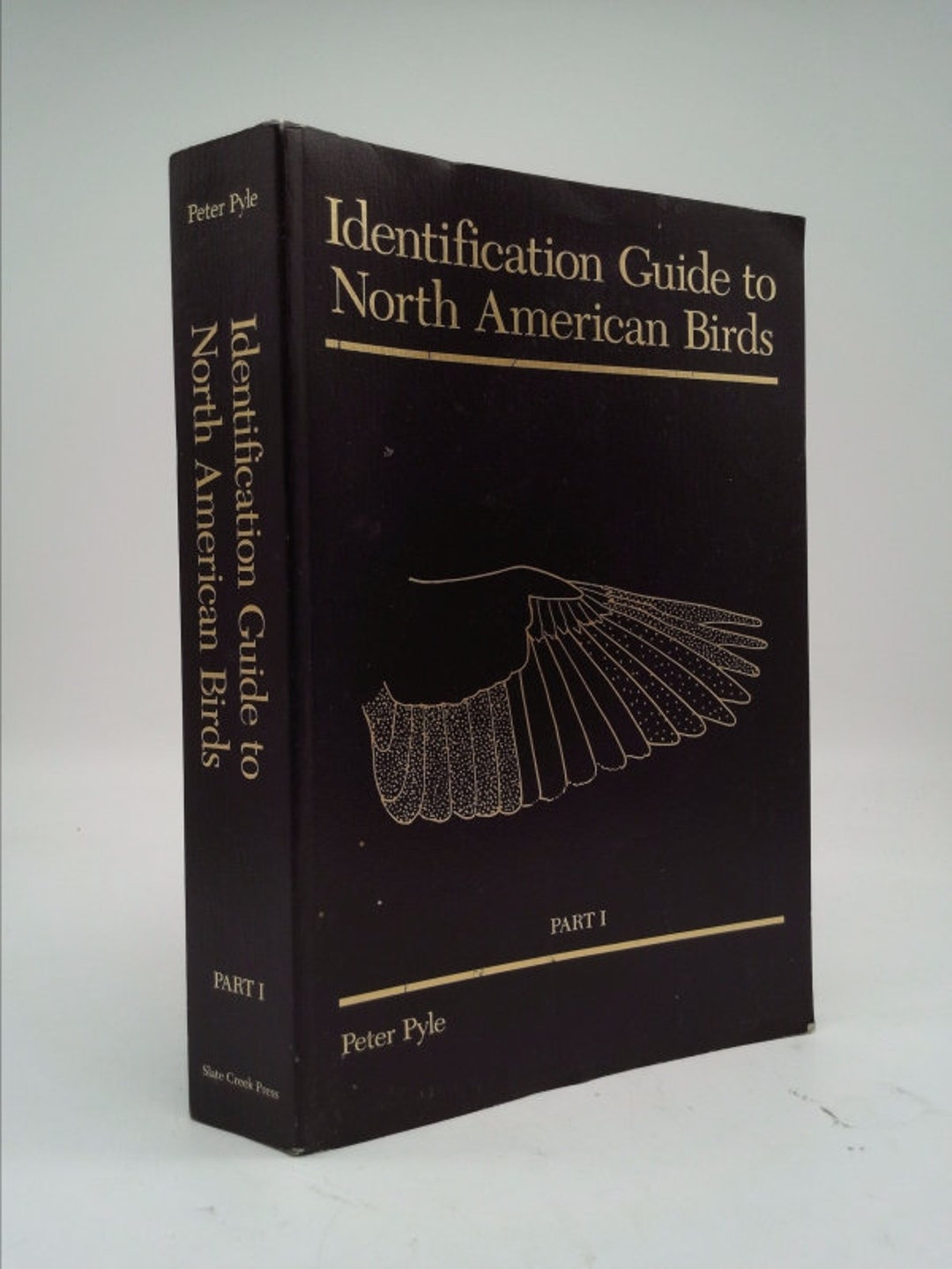Identification Guide to North American Birds, Part I: Columbidae to ...