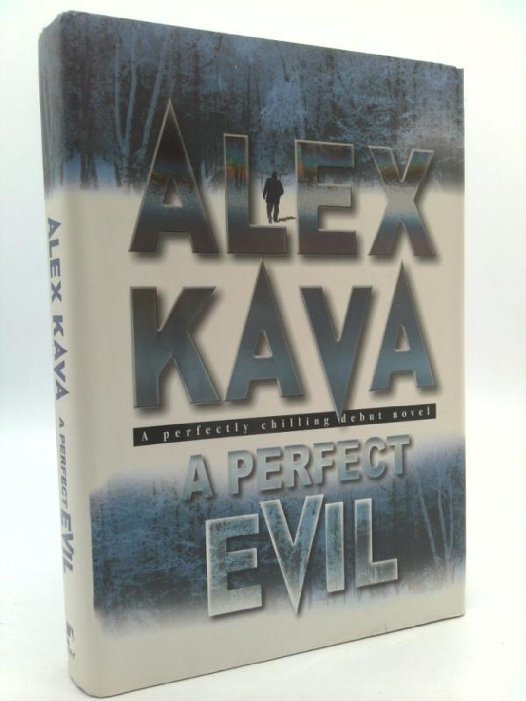 A Perfect Evil by Alex Kava - Etsy