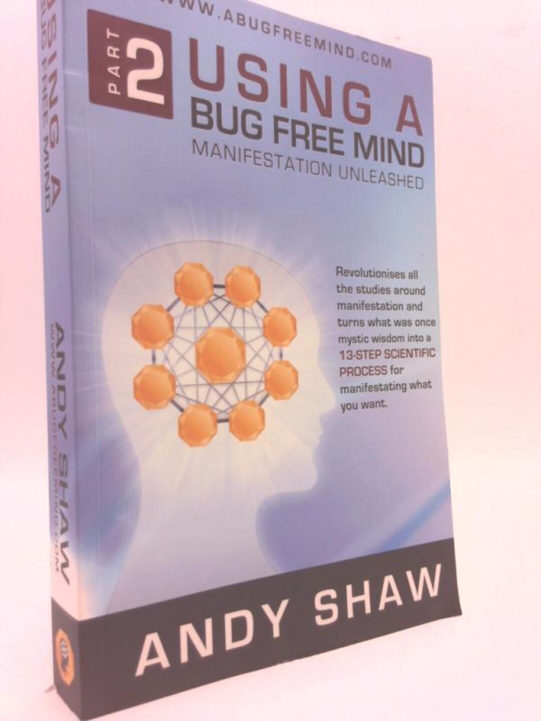 Using a Bug Free Mind: Manifestation Unleashed, Part 2 by Andy Shaw - Etsy
