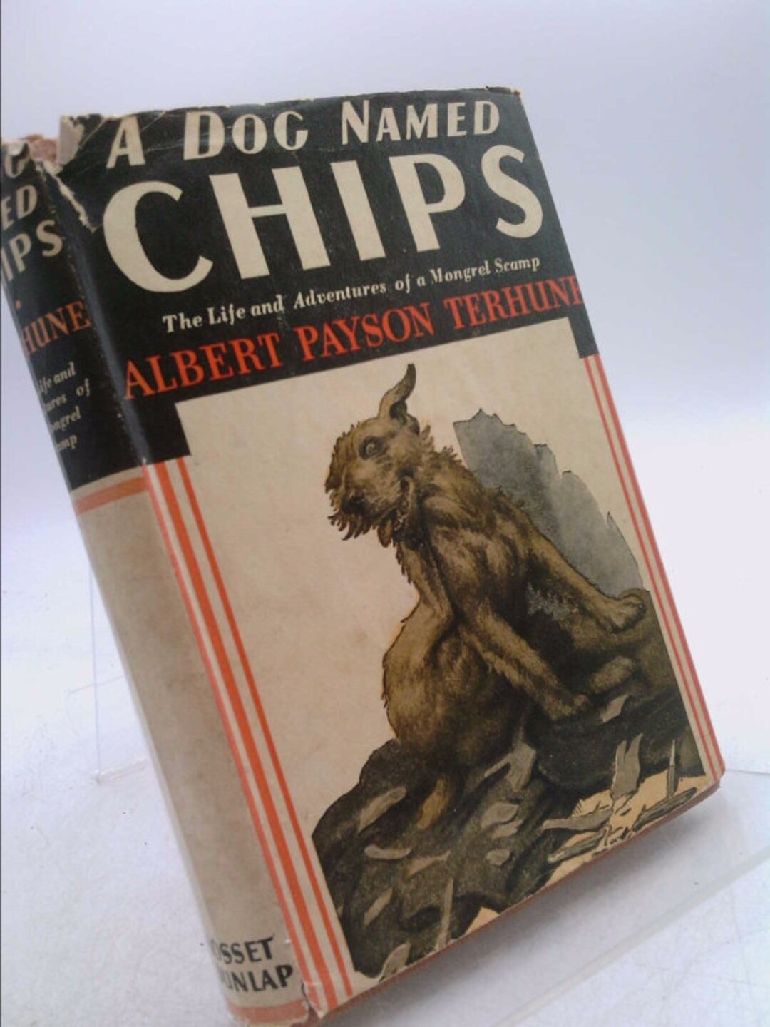A Dog Named Chips by Albert Payson Terhune - Etsy