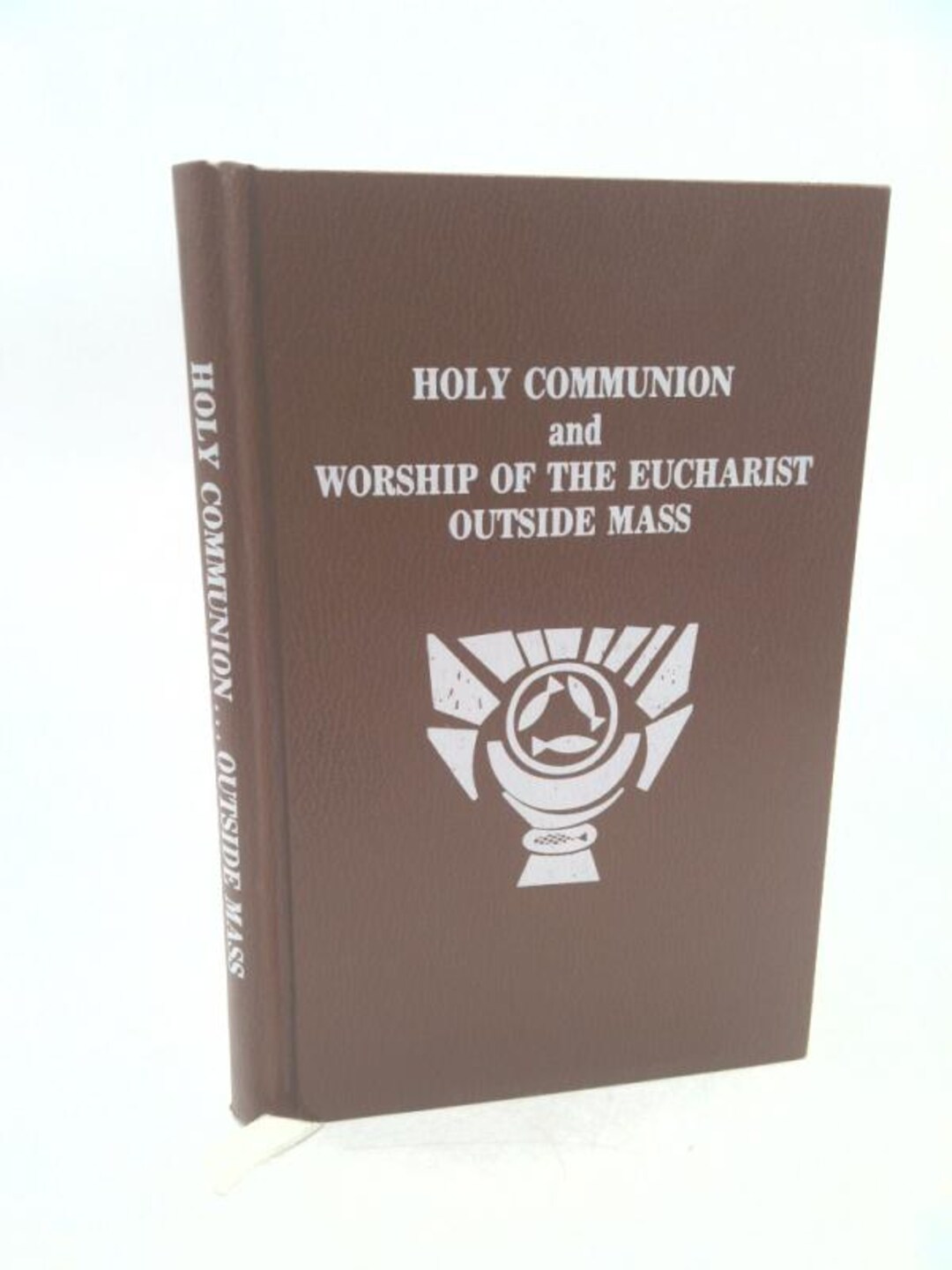 Holy Communion and Worship of Eucharist Outside Mass by International ...
