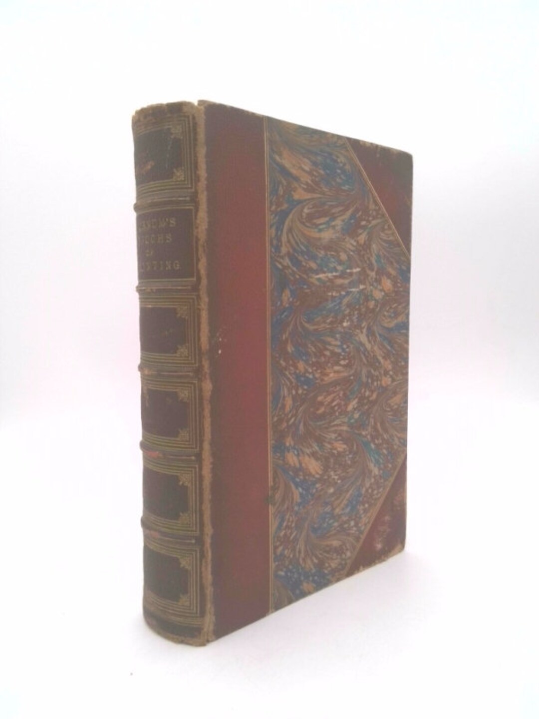 The Epochs of Painting: A Biographical and Critical Essay on Painting ...