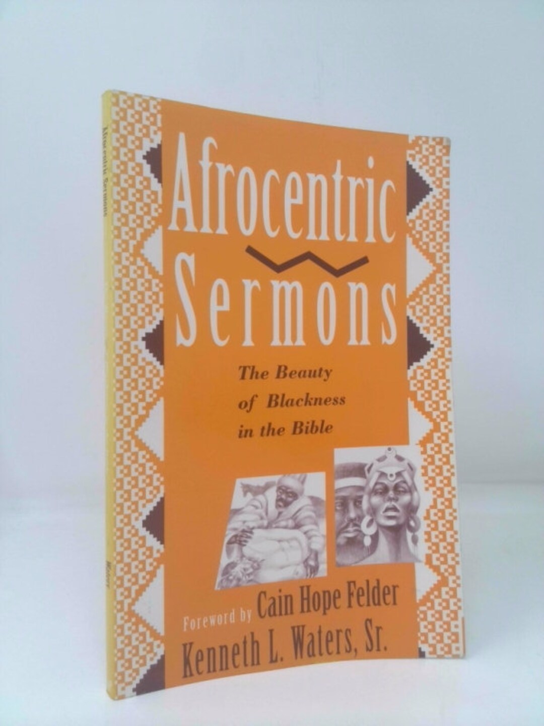 Afrocentric Sermons: the Beauty of Blackness in the Bible by Kenneth L ...