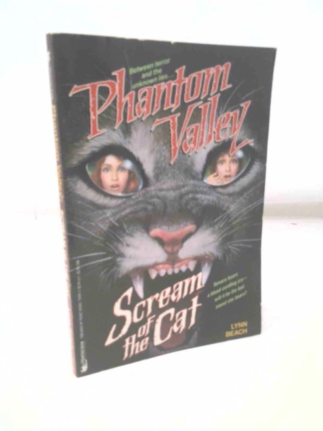 Scream of the Cat phantom Valley : Scream of the Cat by Beach - Etsy