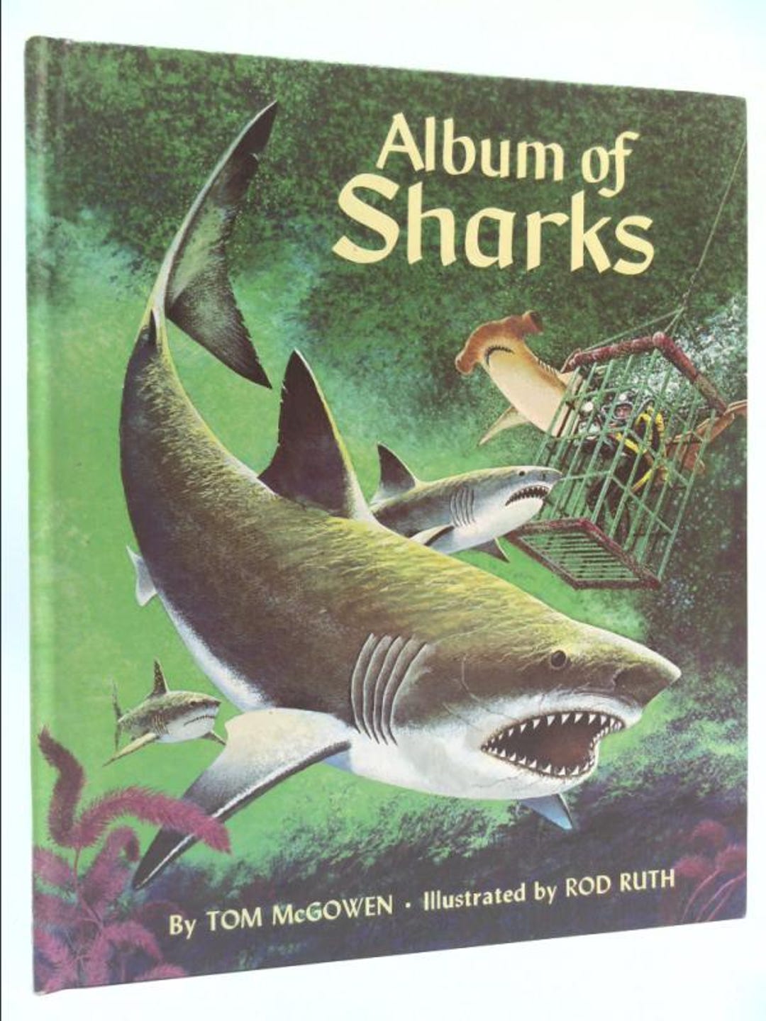 Album of Sharks by Tom Mcgowen - Etsy
