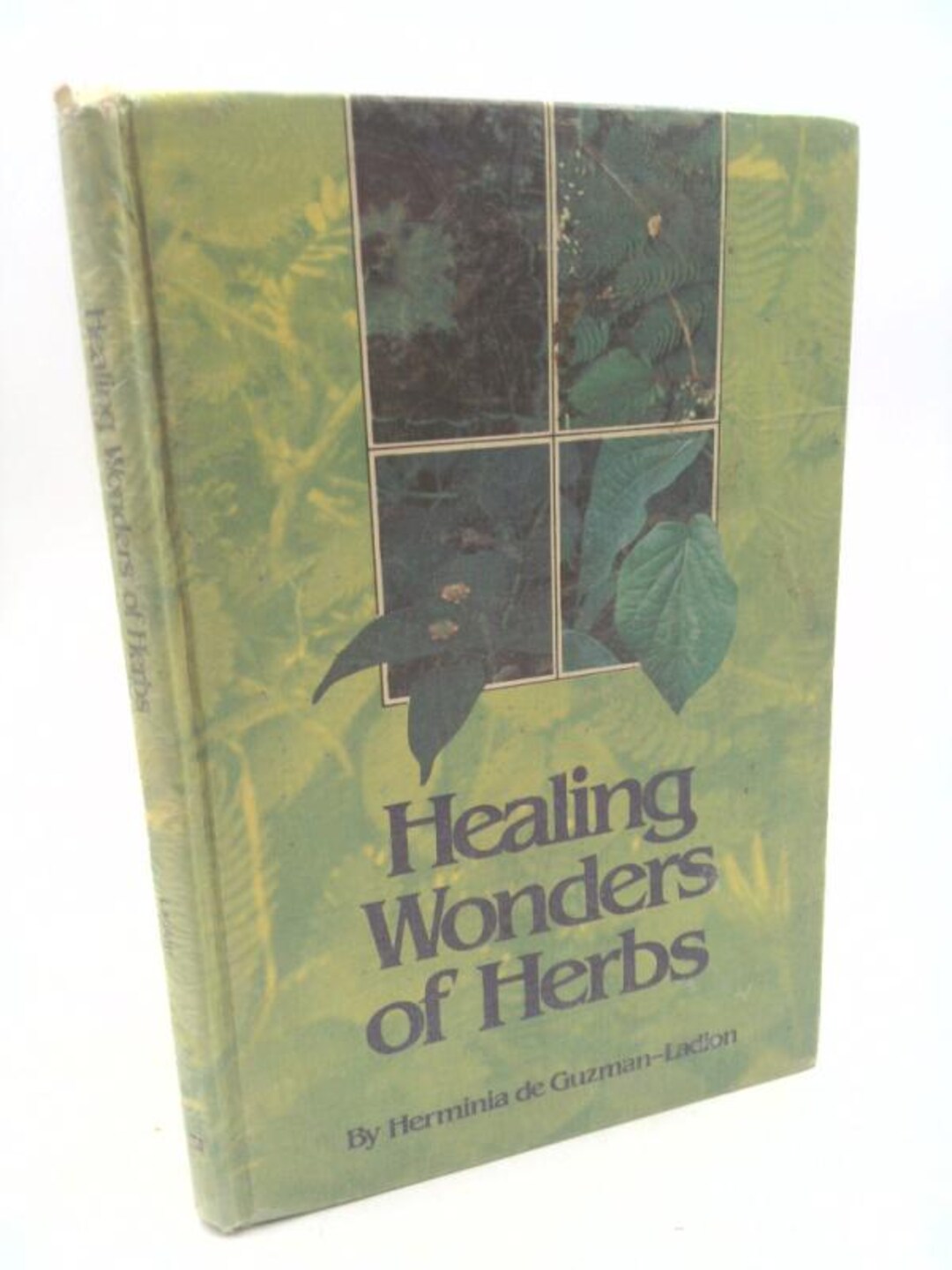Healing Wonders of Herbs: Guide to the Effective Use of Medicinal ...