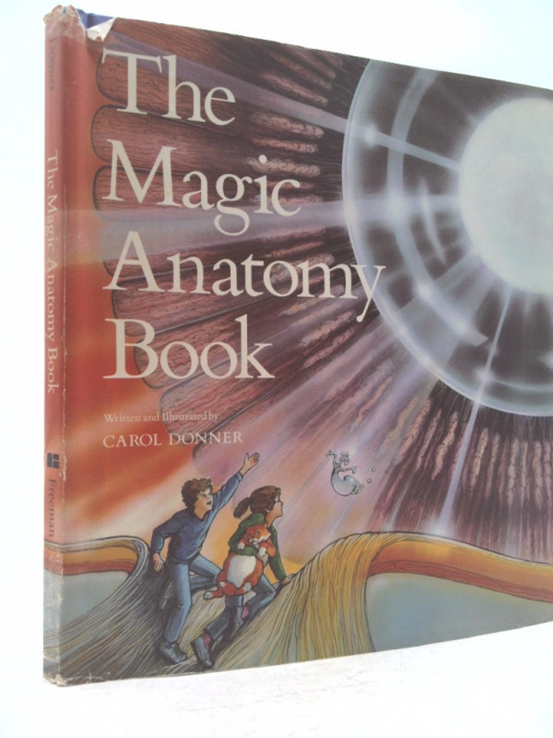 The Magic Anatomy Book by Carol Donner - Etsy
