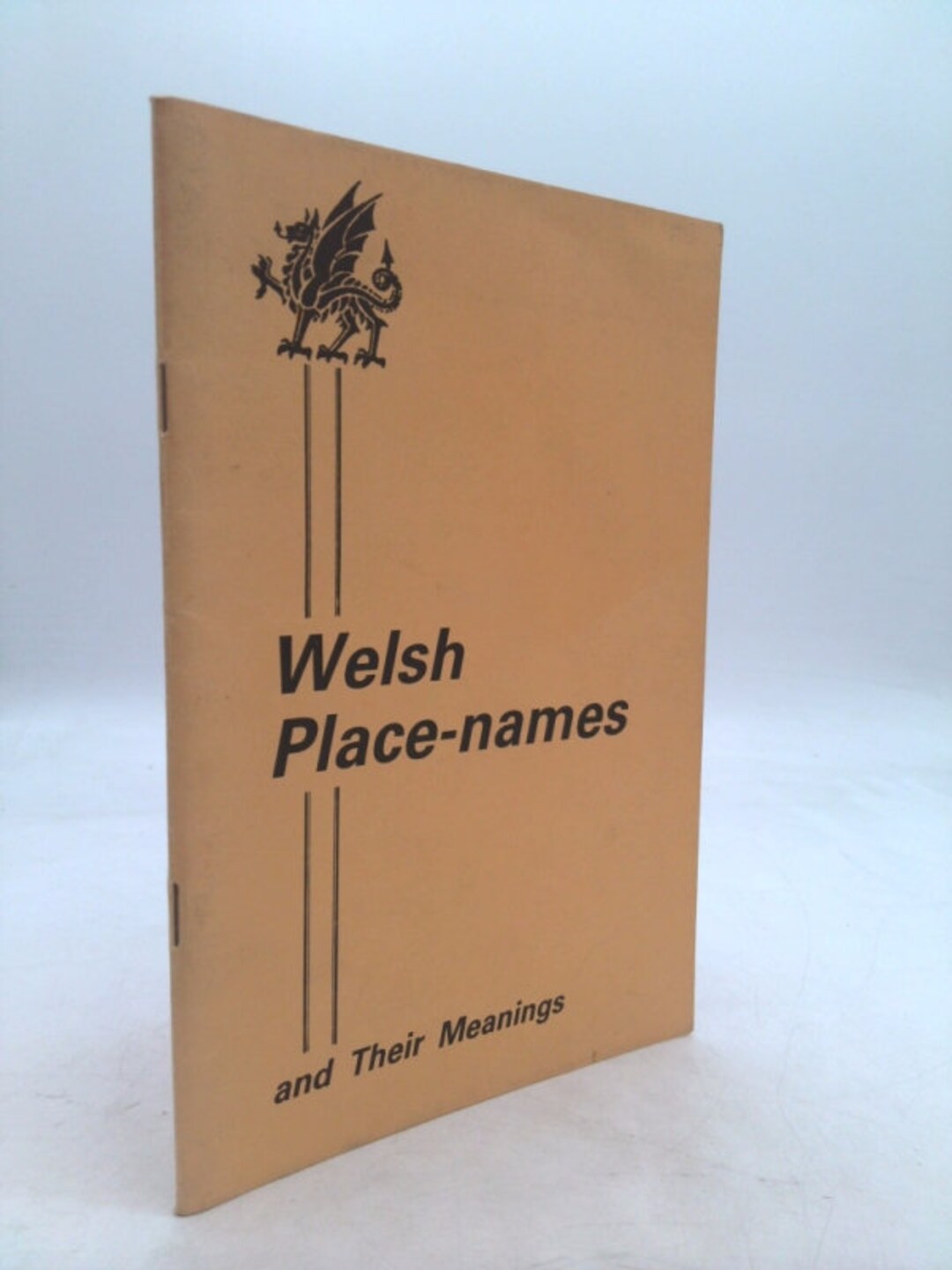 Welsh Place-names and Their Meanings by Dewi Davies - Etsy