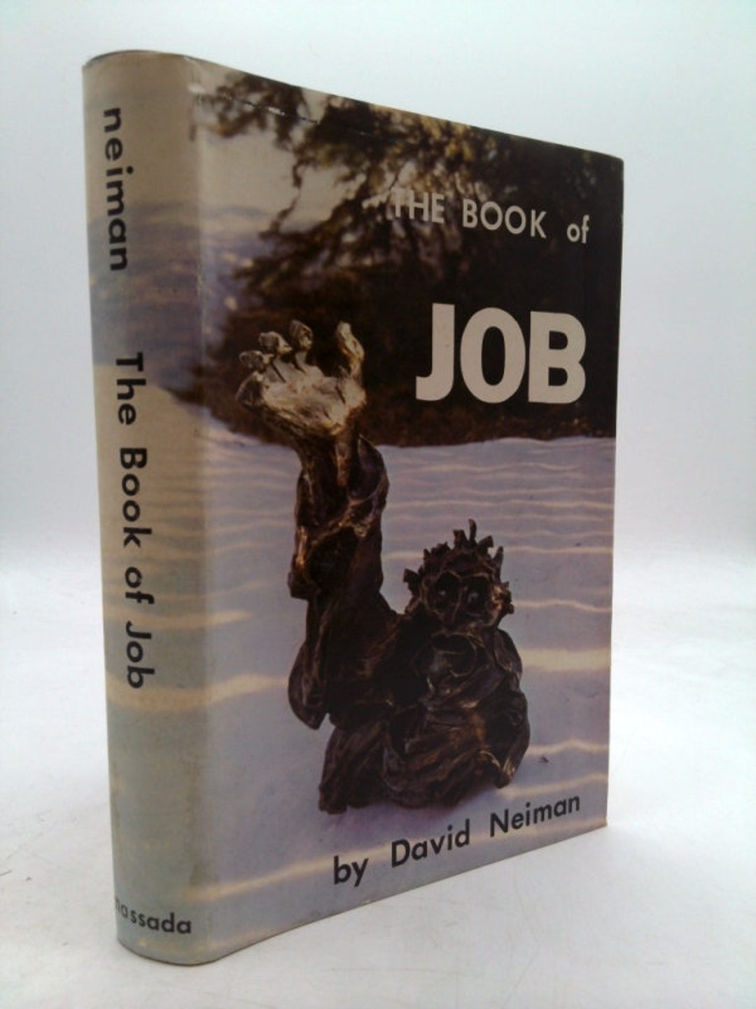 The Book of Job; a Presentation of the Book With Selected Portions ...