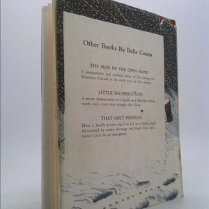 Barn Cat by Belle Coates - Etsy