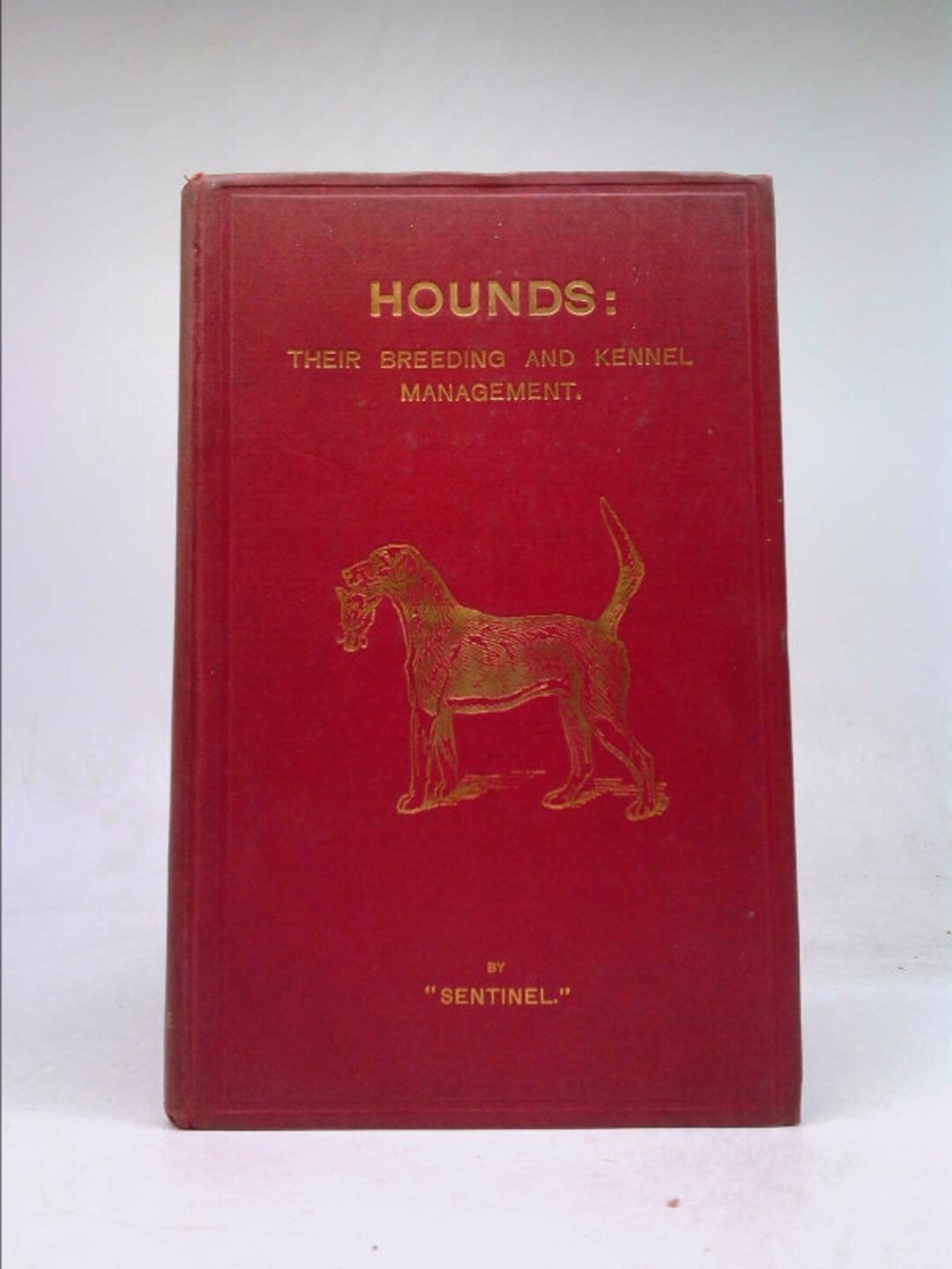 Hounds: Their Breeding and Kennel Management by Sentinel - Etsy