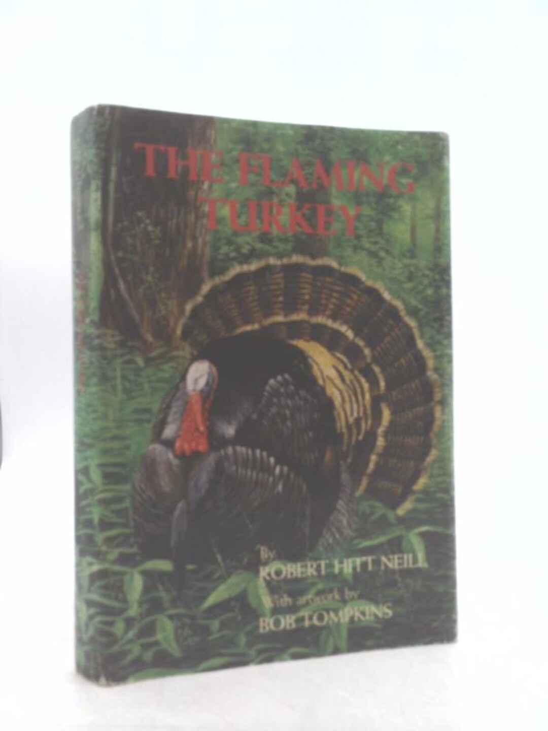 The Flaming Turkey by Robert Hitt Neill - Etsy