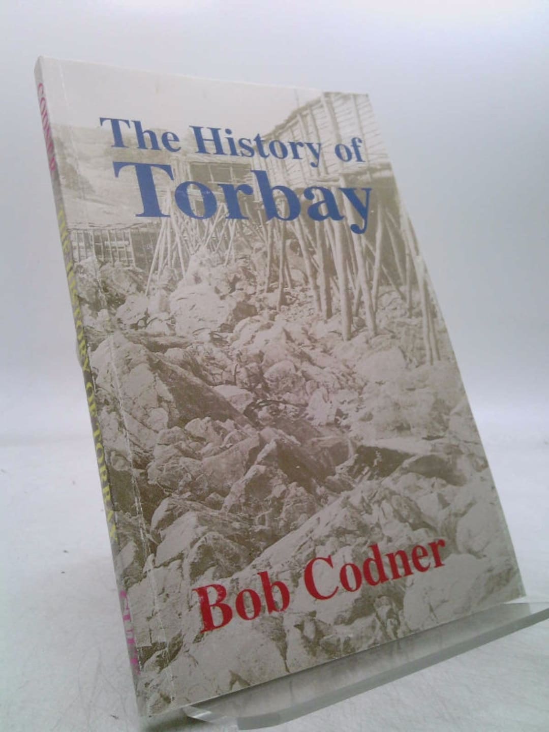 The History of Torbay by Bob Codner - Etsy