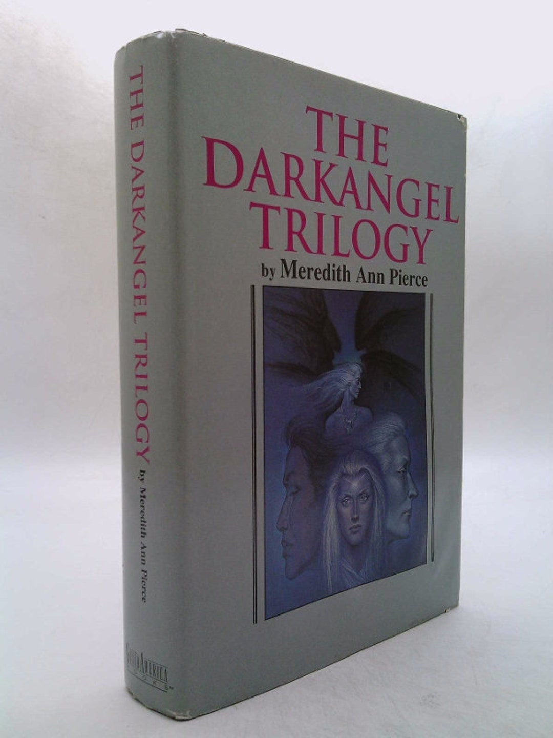 The Dark Angel Trilogy by Meredith Ann Pierce - Etsy