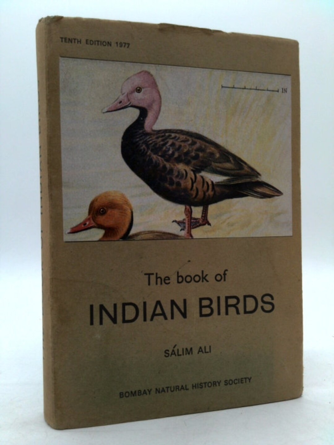 Book of Indian Birds by Salim Ali - Etsy