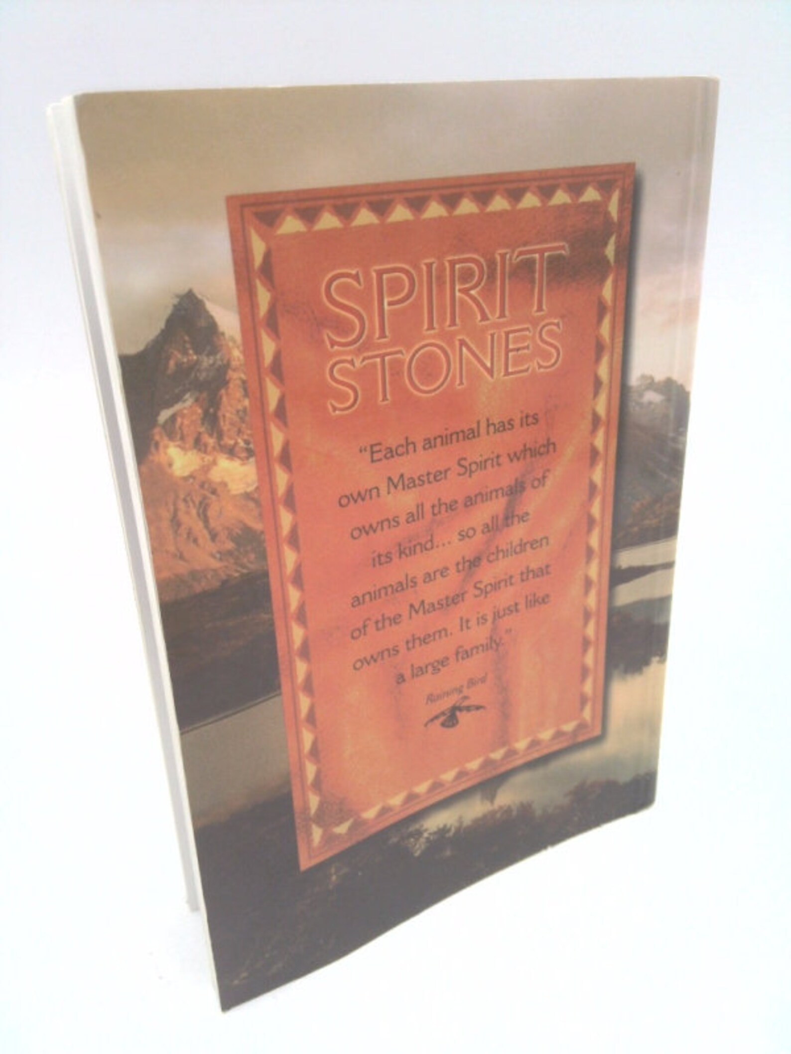 Spirit Stones: Use the Positive Energies of Native American Sacred ...
