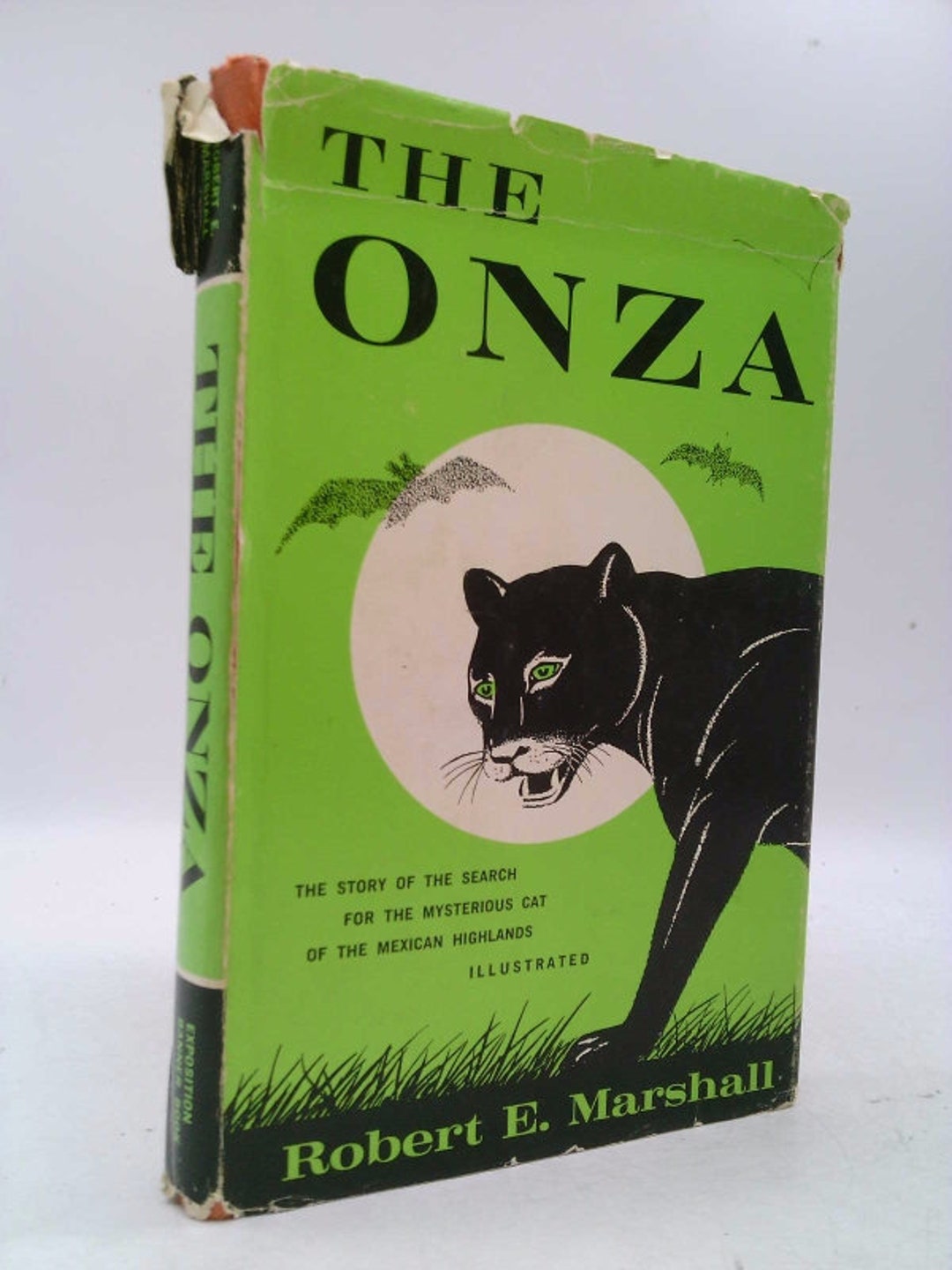 The Onza: the Story for the Search for the Mysterious Cat of the ...