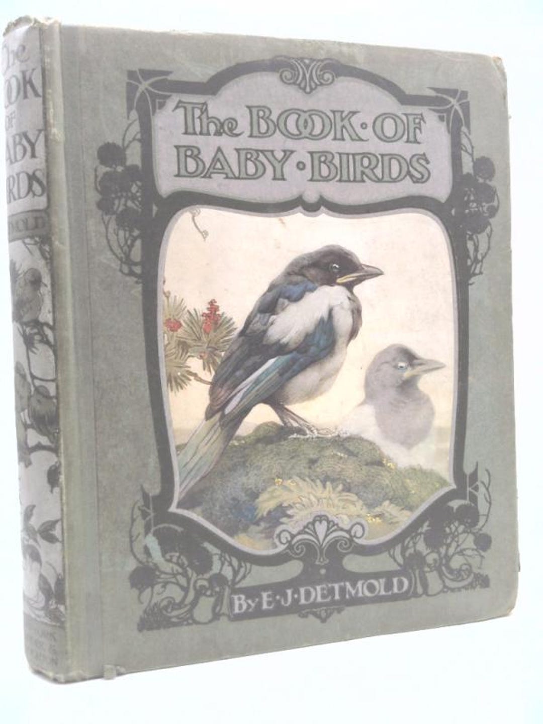 The Book of Baby Birds by E. J. Detmold - Etsy