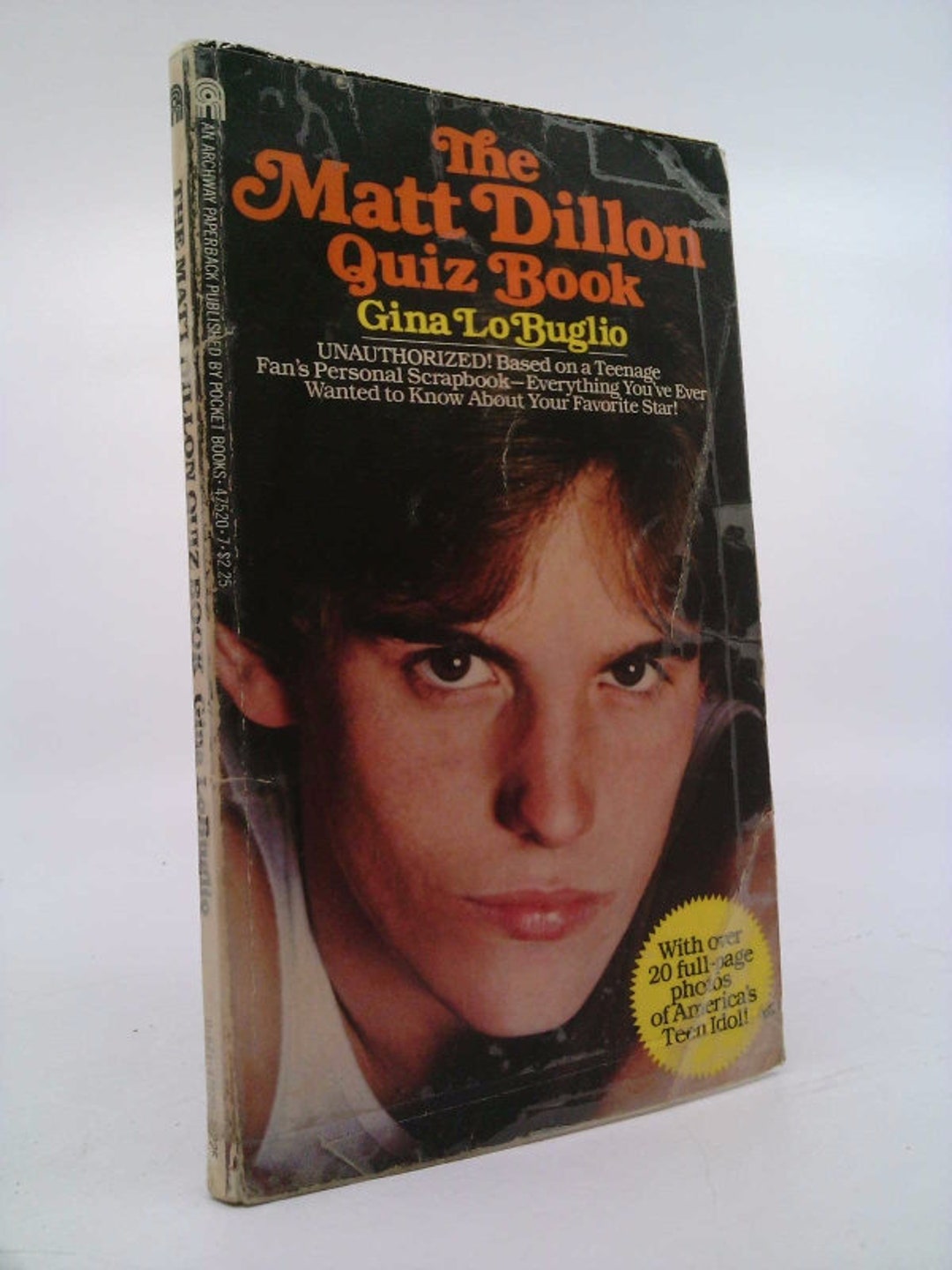 The Matt Dillion Quiz Book by Gina Lobuglio - Etsy