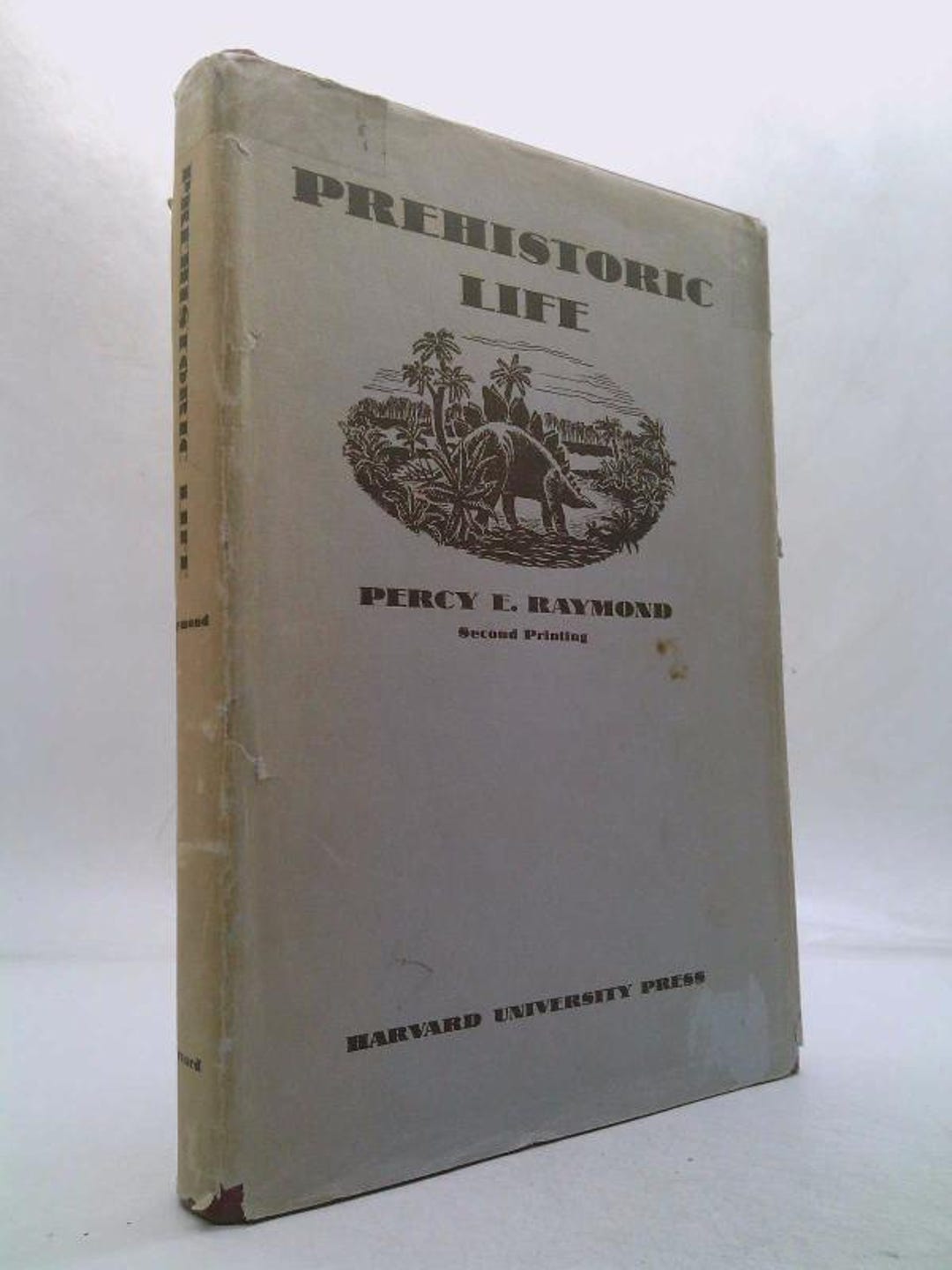 Prehistoric Life, by Percy E Raymond - Etsy